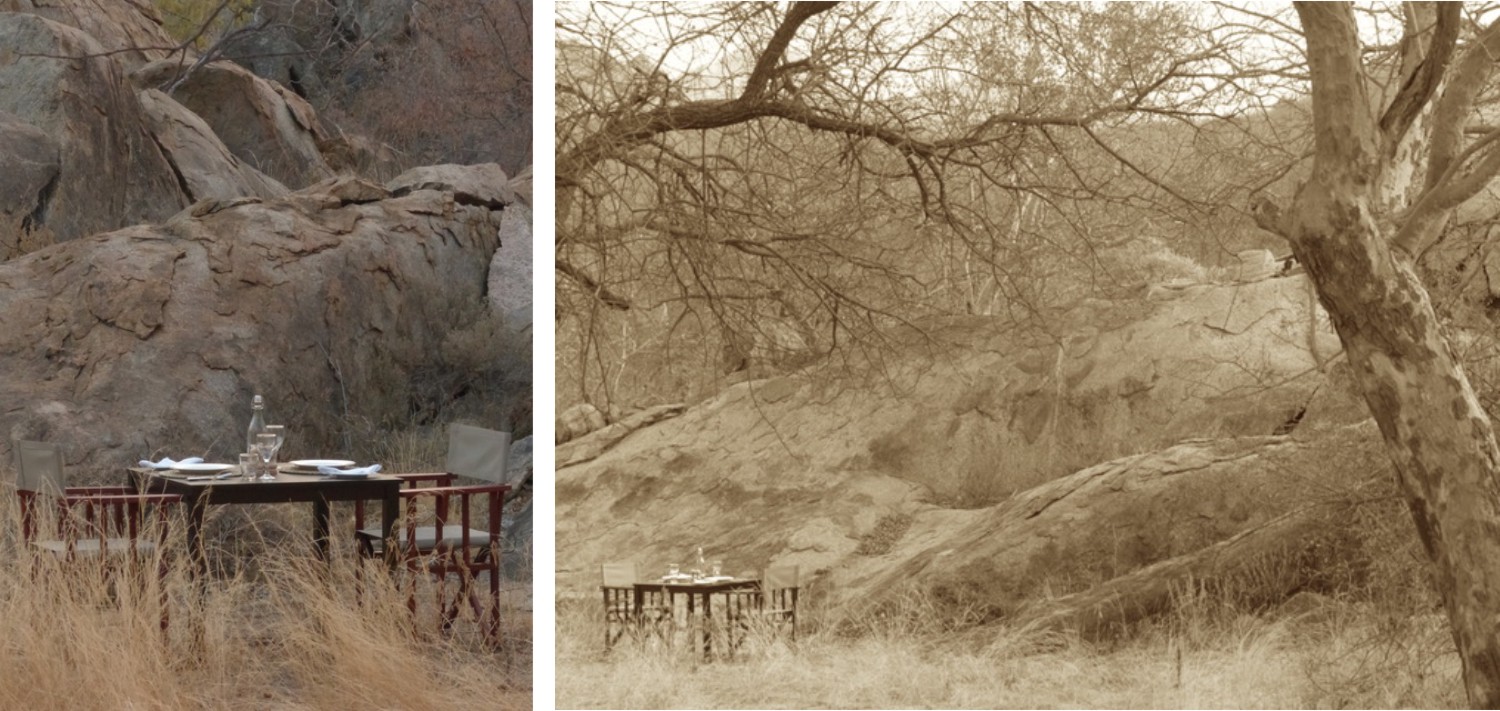 Abelana Safari Camp - the big reveal! | Abelana Game Reserve