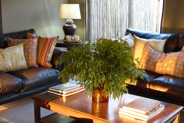 Abelana Game Reserve | Luxury Big Five Lodge and Safari Camp