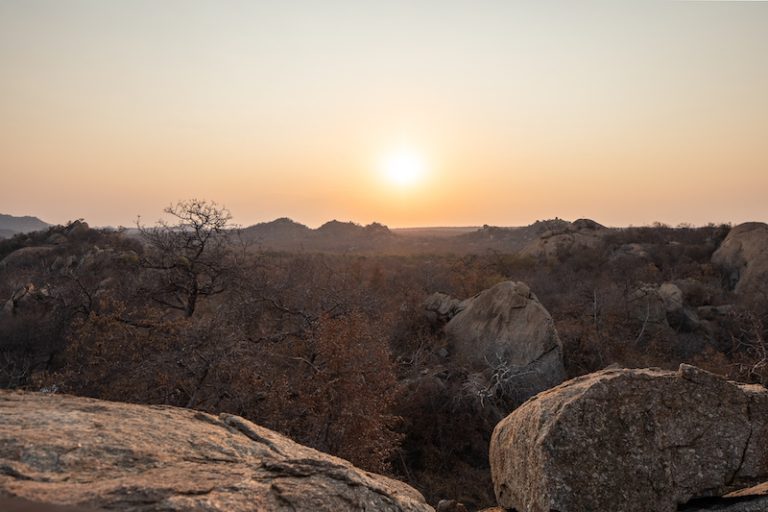 Abelana Game Reserve | Luxury Big Five Lodge and Safari Camp