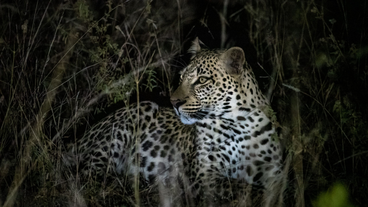 Gallery – Abelana Game Reserve